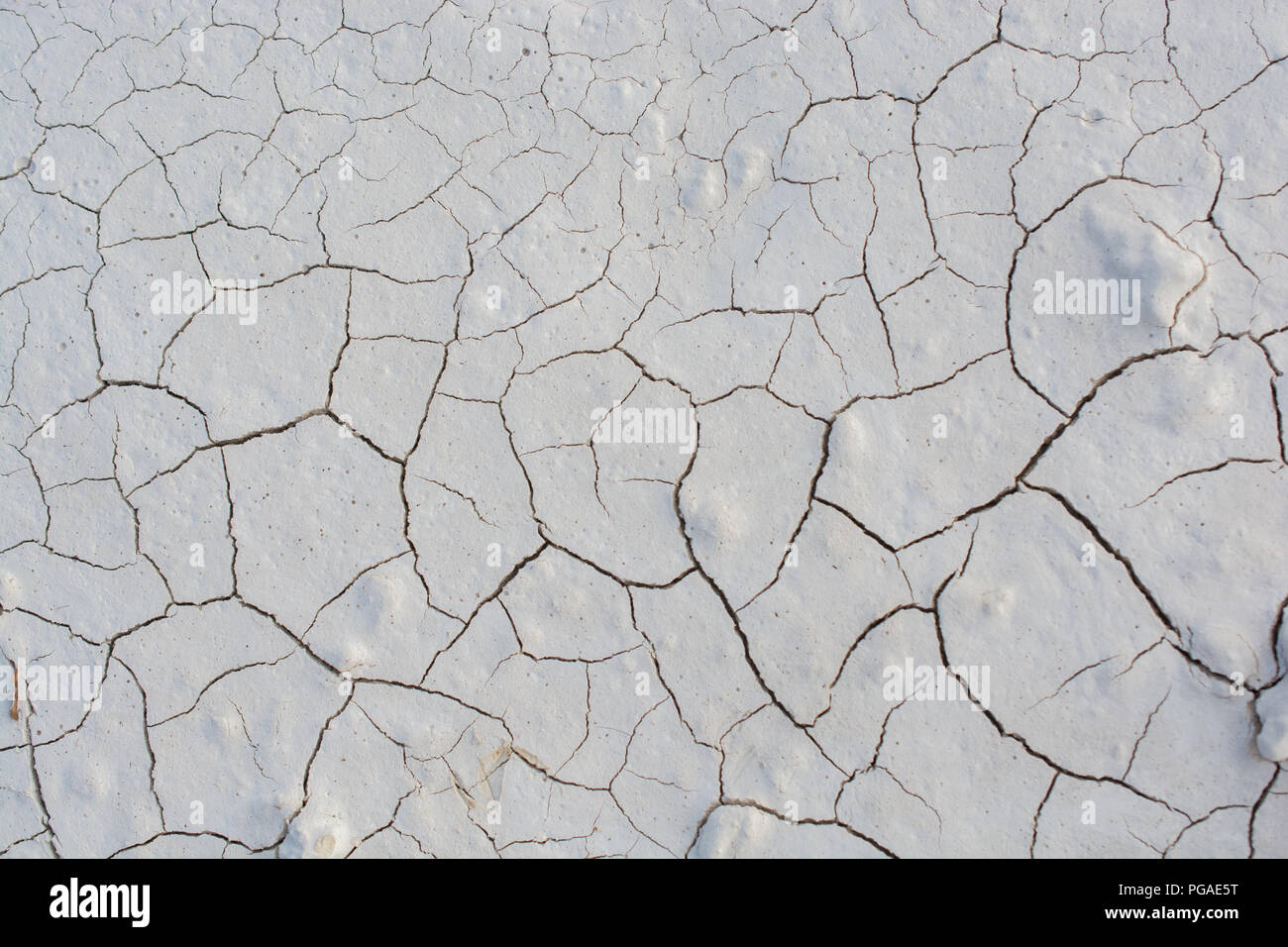 Brown color dry cracked muddy earth as a background texture Stock Photo ...