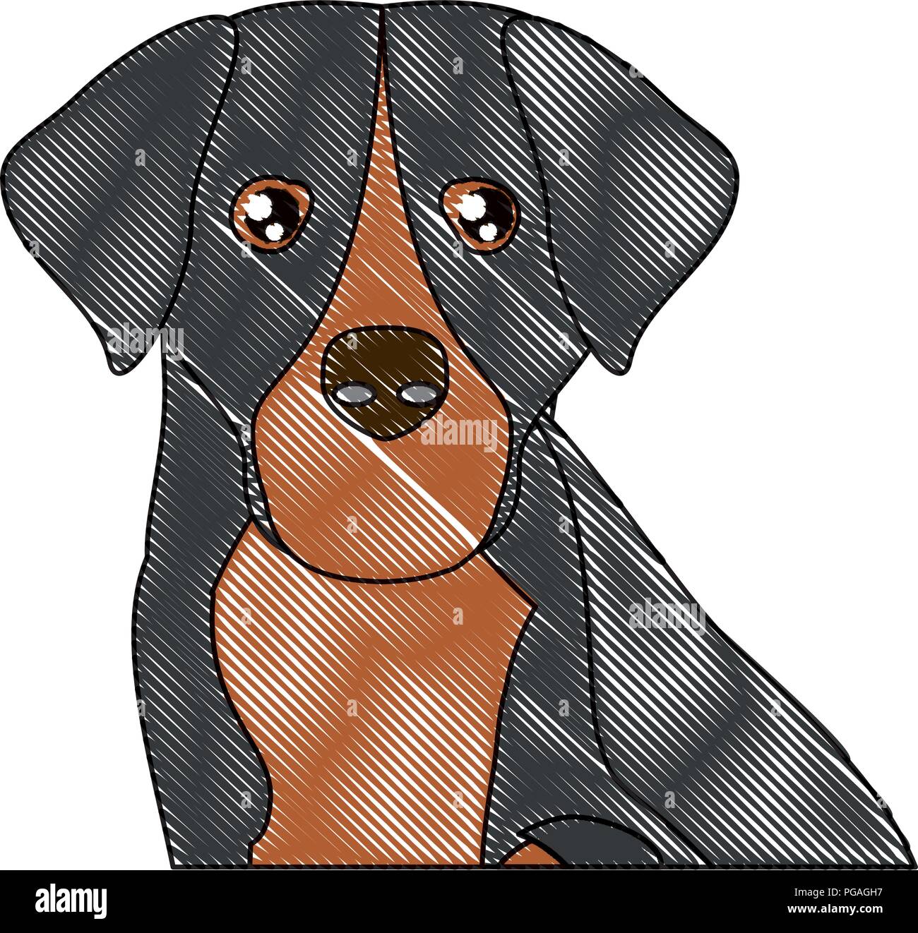 cute St Bernard dog icon over white background, vector illustration ...