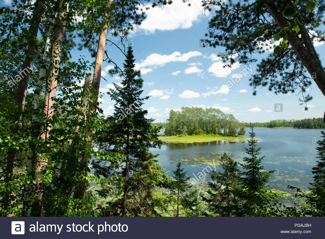 Itasca State Park Stock Photos & Itasca State Park Stock Images - Alamy