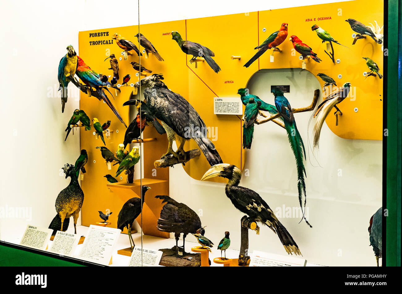 7 JUNE 2018, MILAN, ITALY: Museum of Natural History in Milan ...
