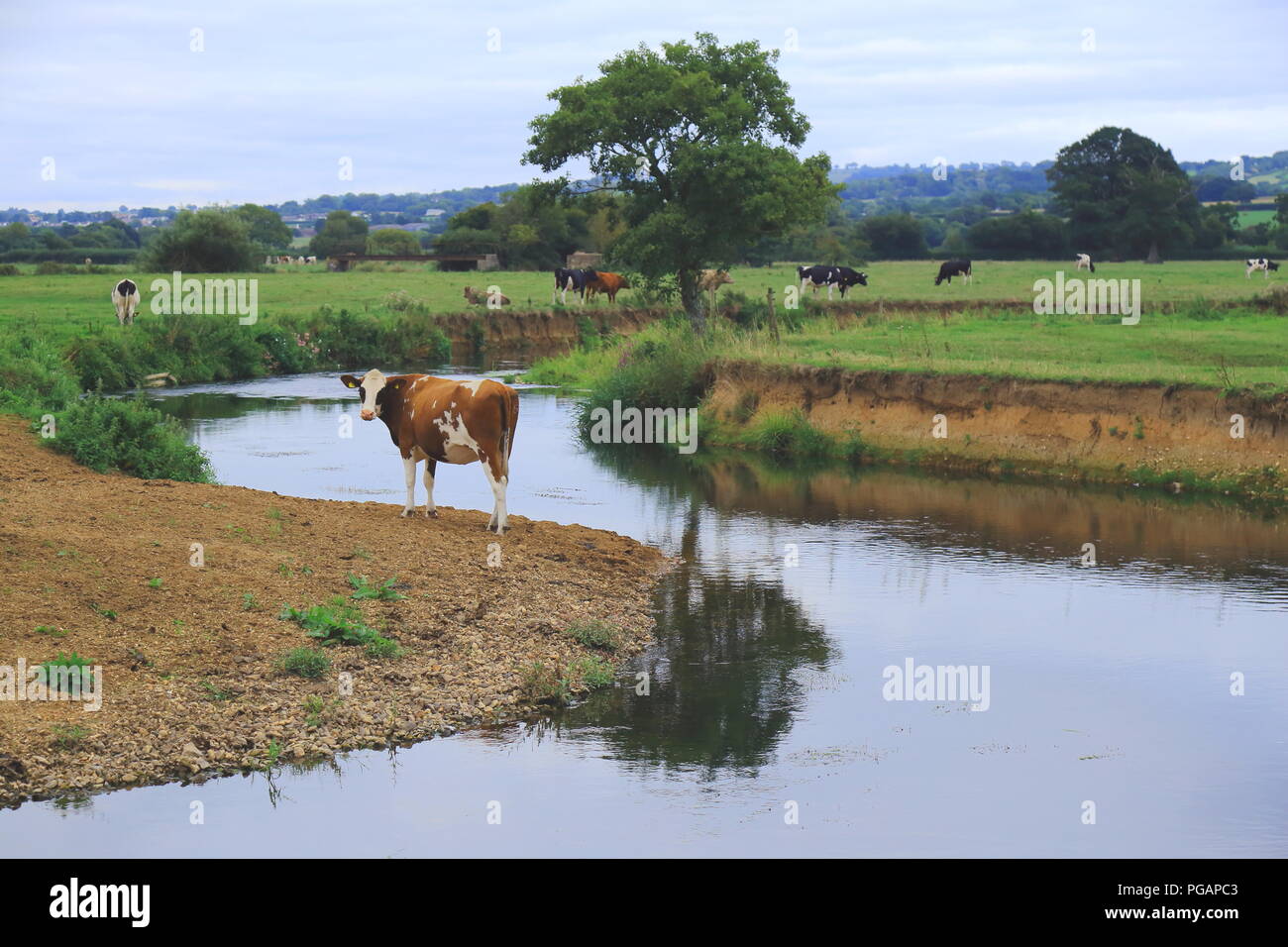 River meander uk hi-res stock photography and images - Alamy