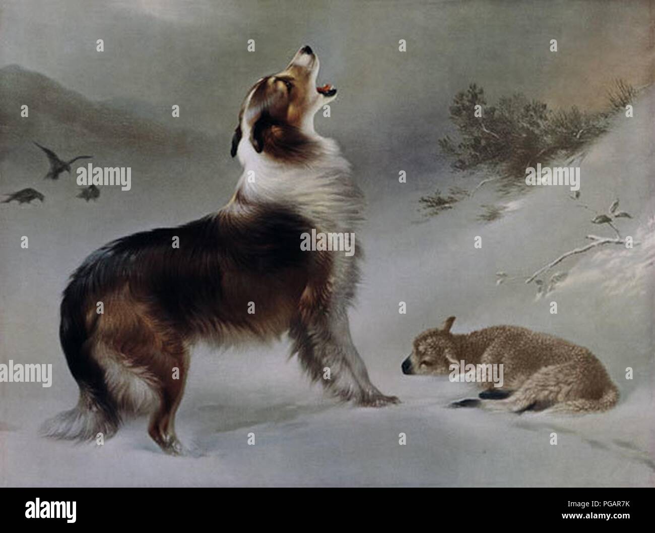 Friedrich schenck hi-res stock photography and images - Alamy