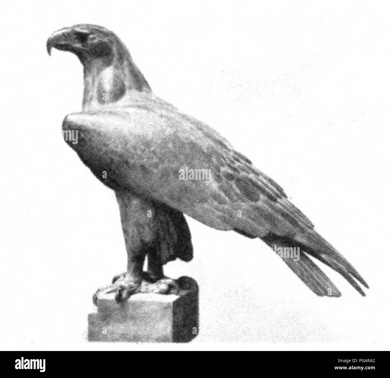 Aigle Black and White Stock Photos & Images - Alamy