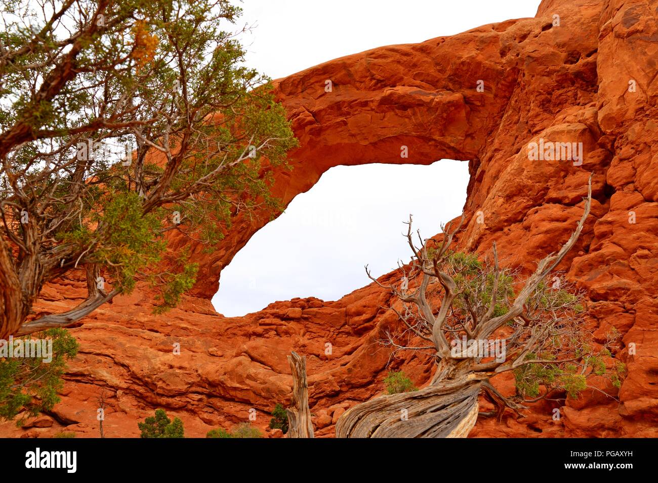 Famous Windows arch in the Arches National park, Utah, USA Stock Photo ...