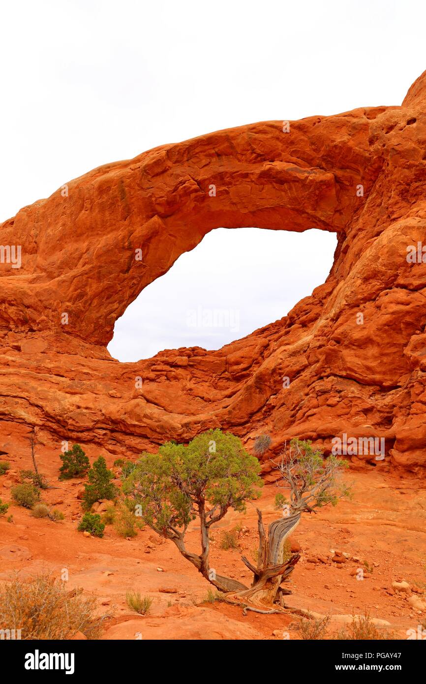 Famous windows hi-res stock photography and images - Alamy