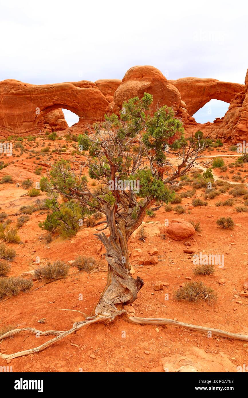 Famous Windows arch in the Arches National park, Utah, USA Stock Photo ...