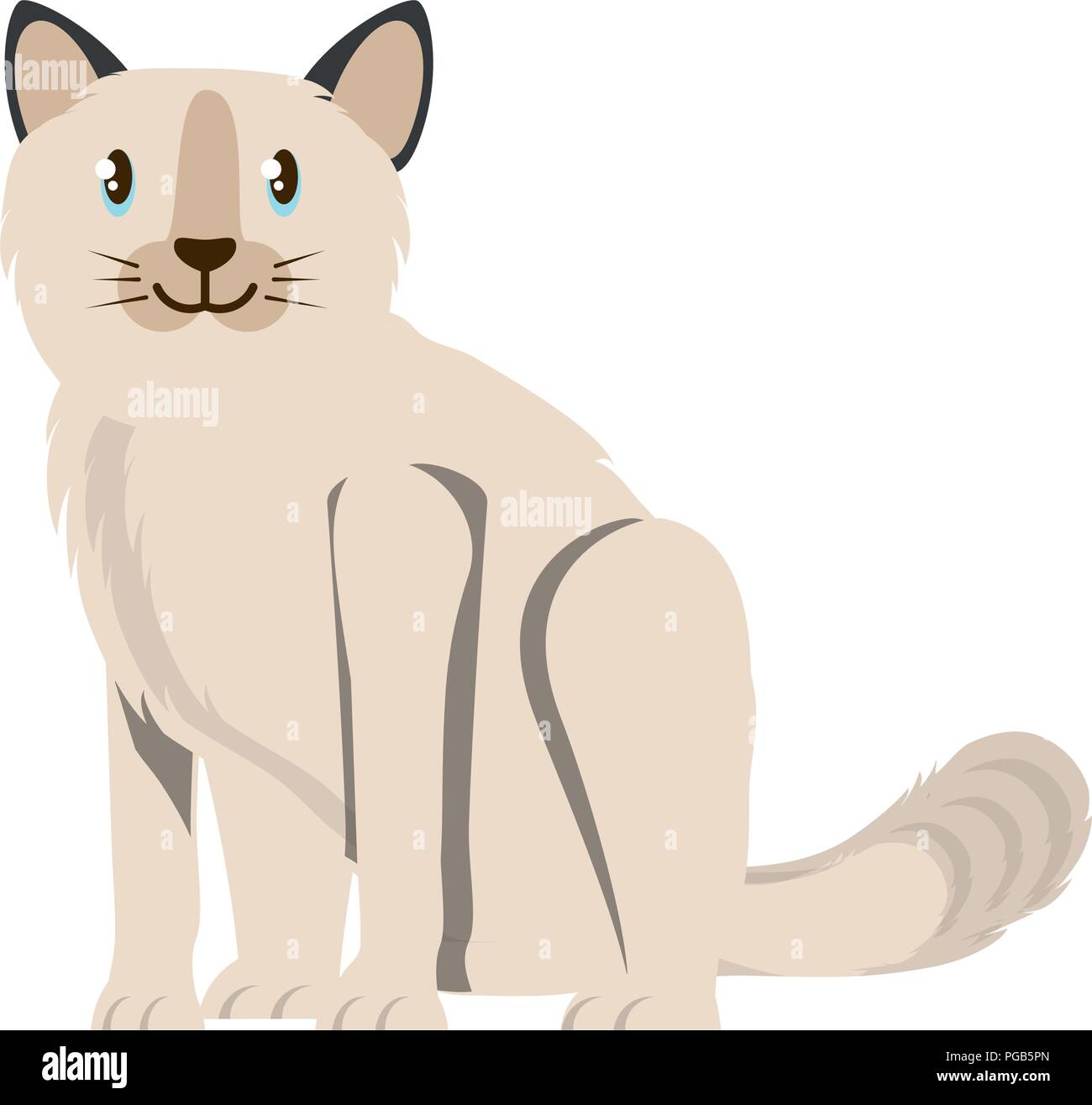 cute birman cat icon over white background, vector illustration Stock ...