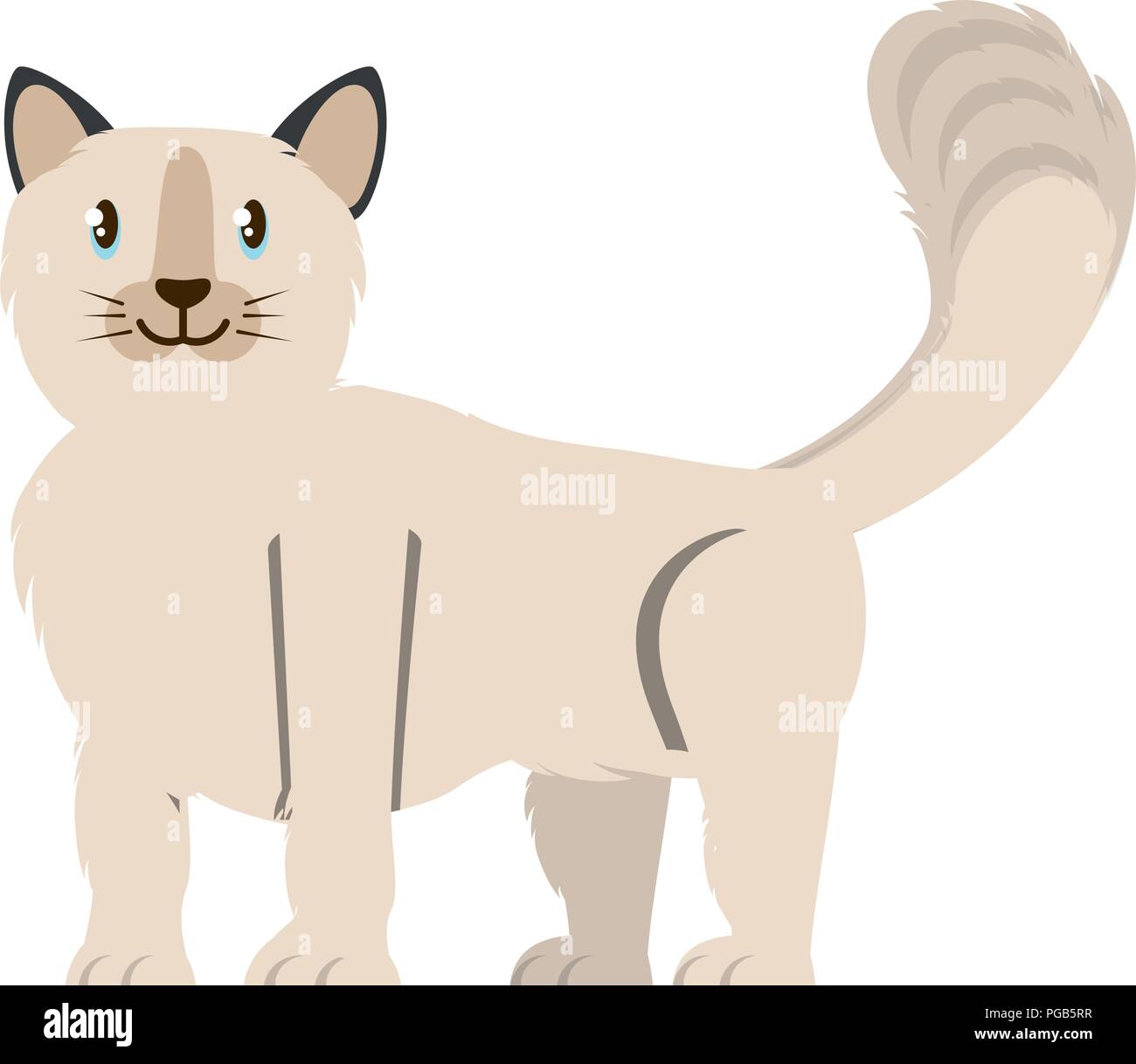 cute birman cat icon over white background, vector illustration Stock ...