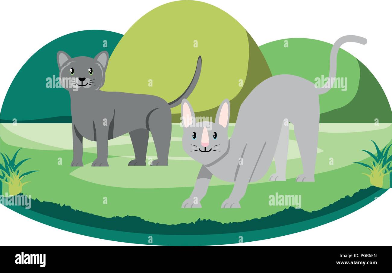 cute cats on the grass over white background, vector illustration Stock ...