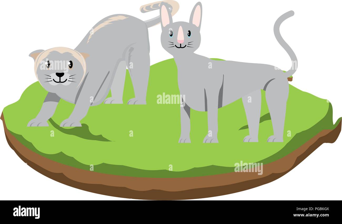 cute cats on the grass over white background, vector illustration Stock ...