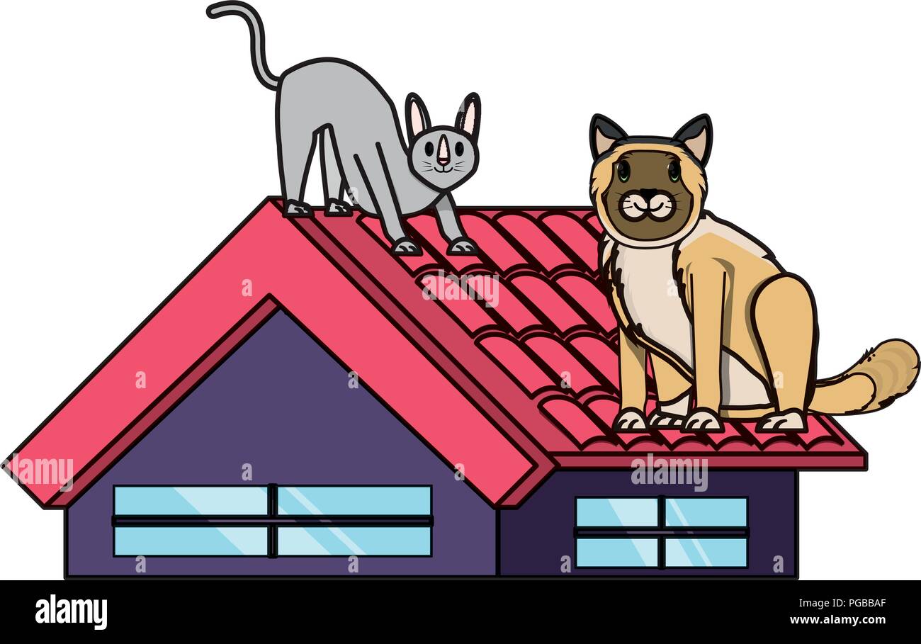 cute cats on the roof over white background, vector illustration Stock ...