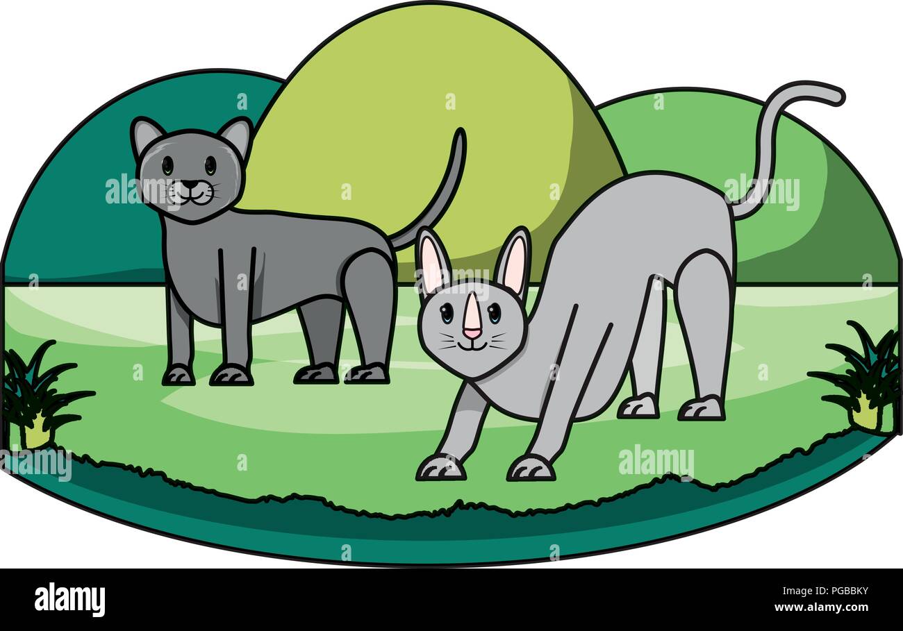 cute cats on the grass over white background, vector illustration Stock ...