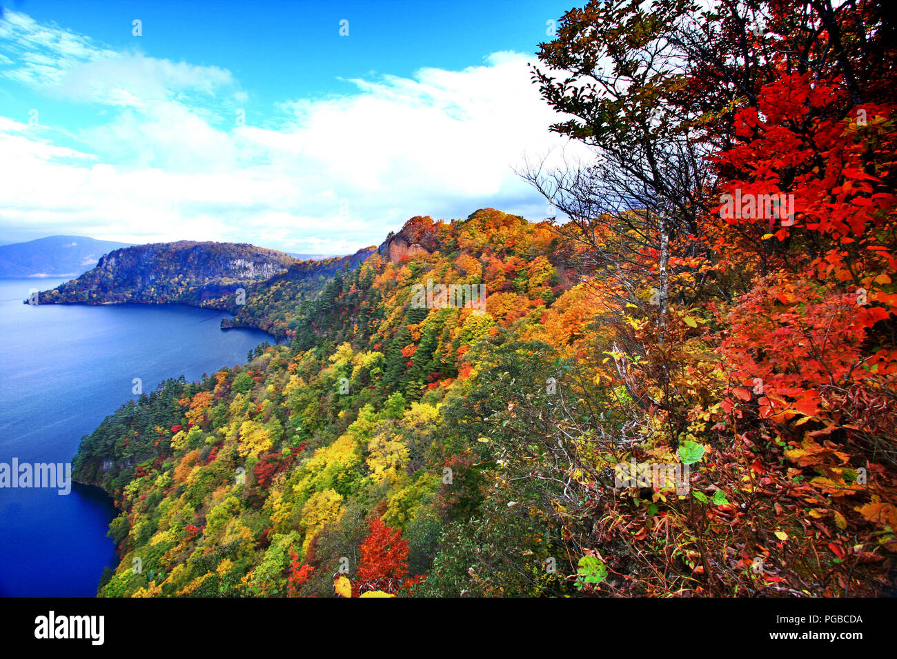 Beautiful aerial view of Lake Towada with colorful autumn foliage in ...