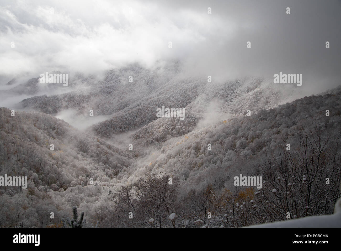 The magnificent mountain scenery of the Caucasus Nature Reserve Stock ...