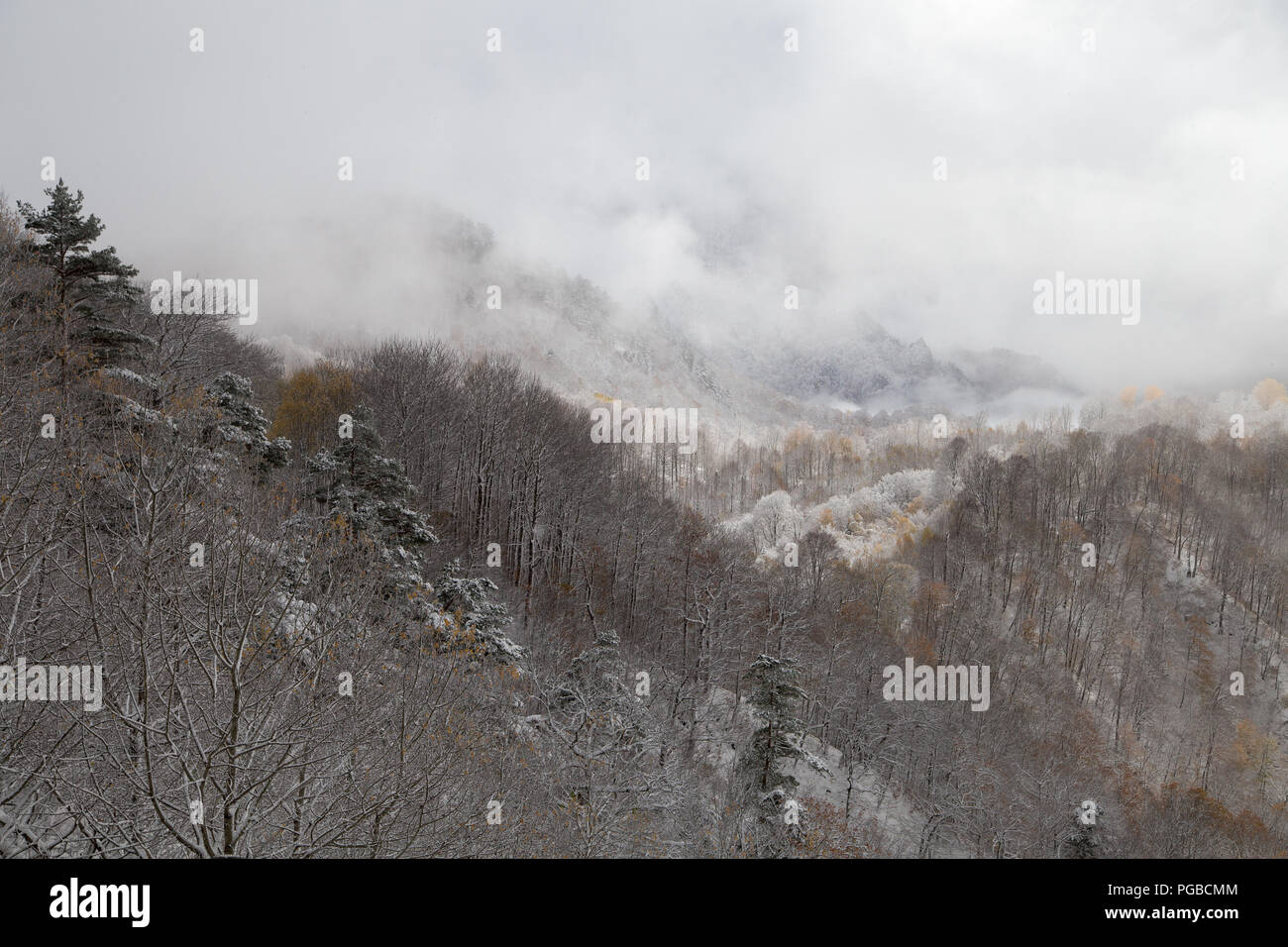 The magnificent mountain scenery of the Caucasus Nature Reserve Stock ...