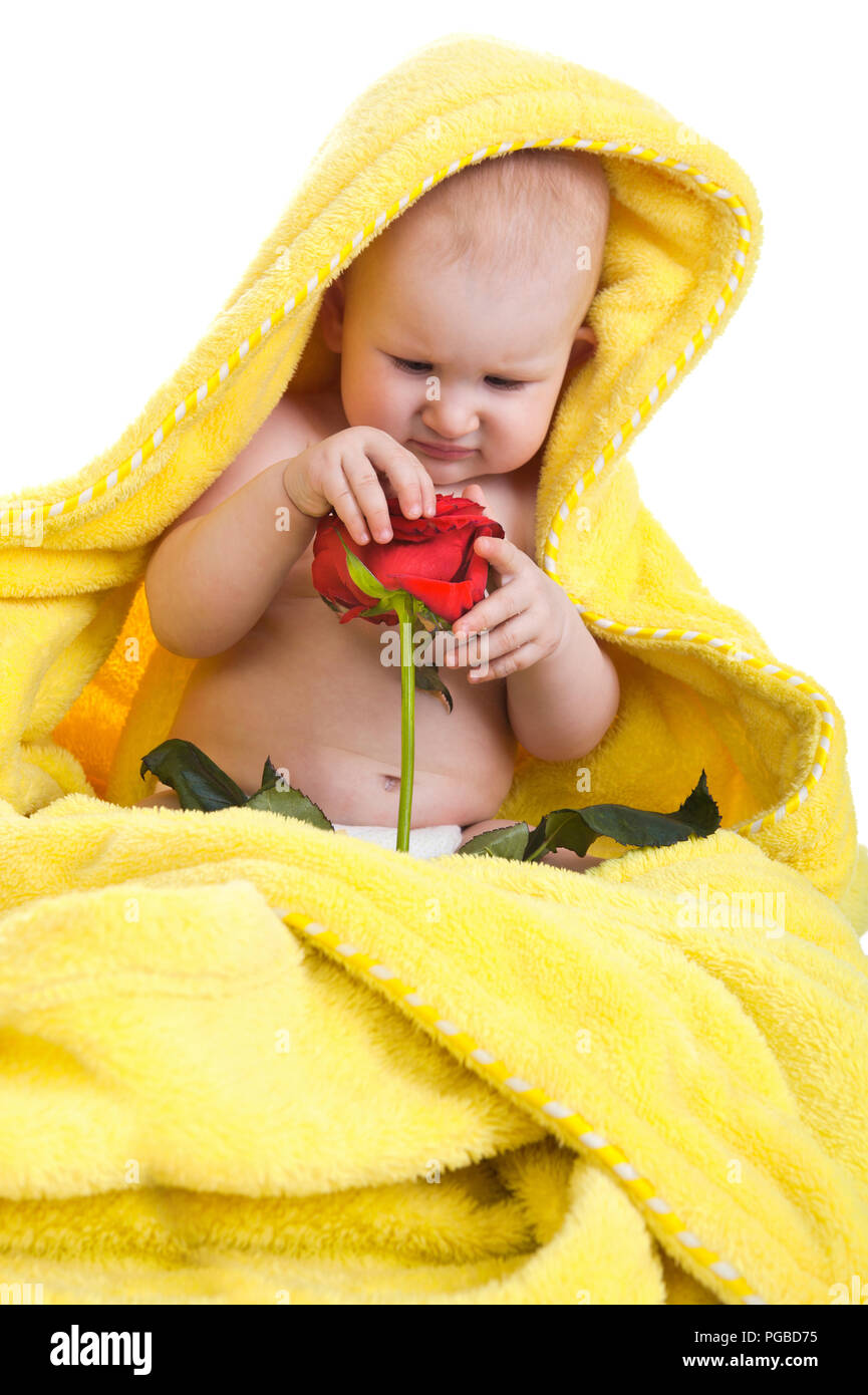 little girl with a red rose isolated on a white background Stock Photo ...