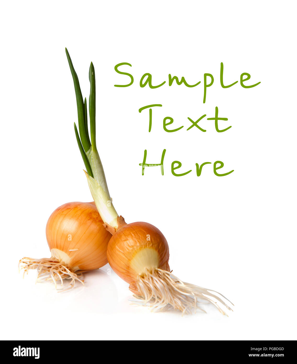 spring onion isolated on white background.Green onion Stock Photo - Alamy