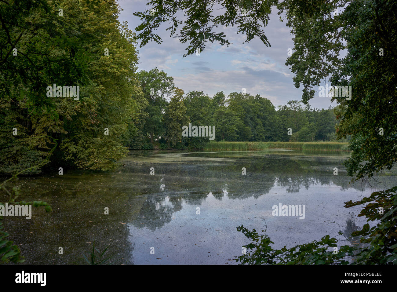 Pond around the moated castle Bagieniec lower Silesia Poland Stock ...
