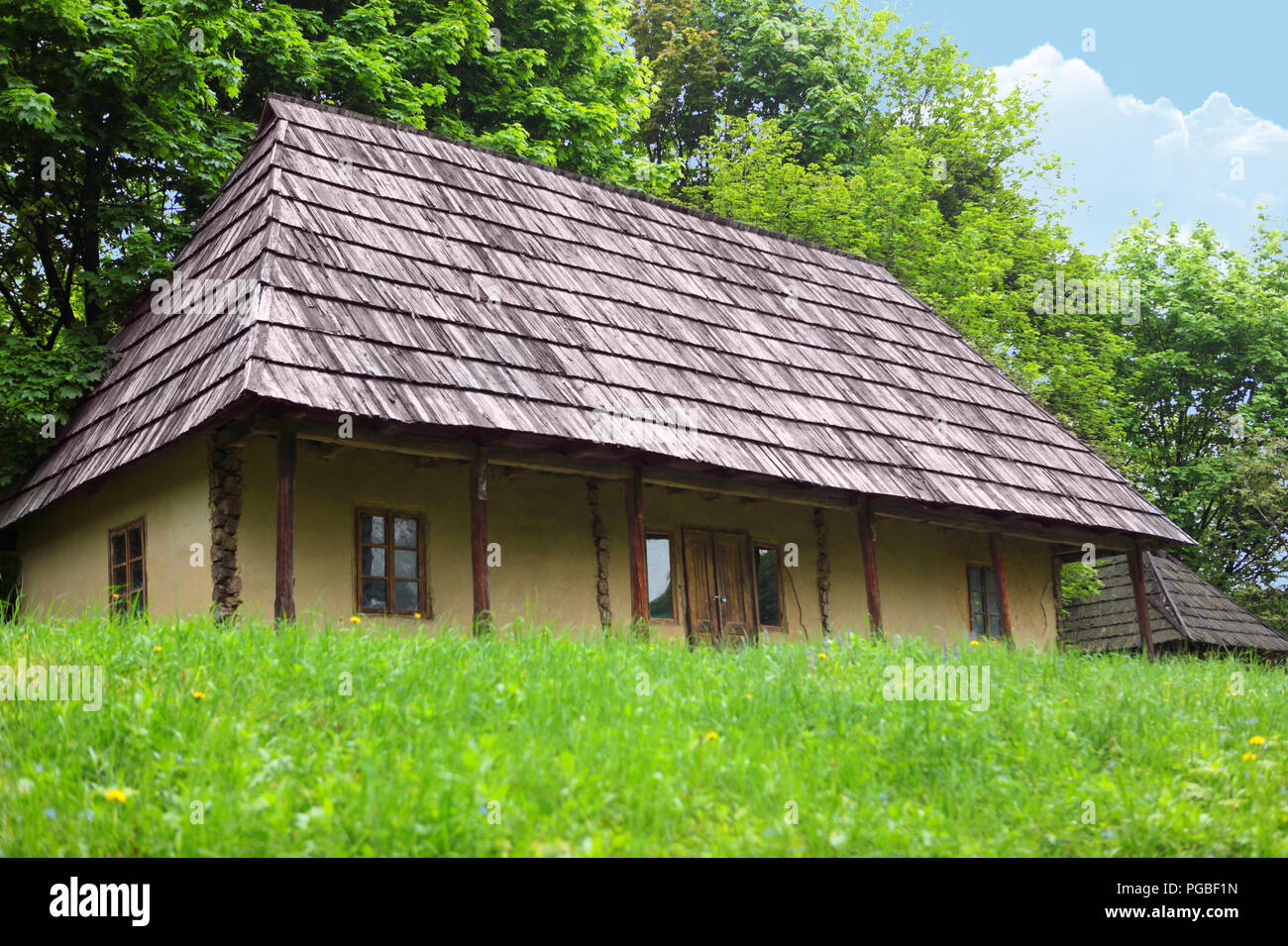 Fringe forest hi-res stock photography and images - Alamy