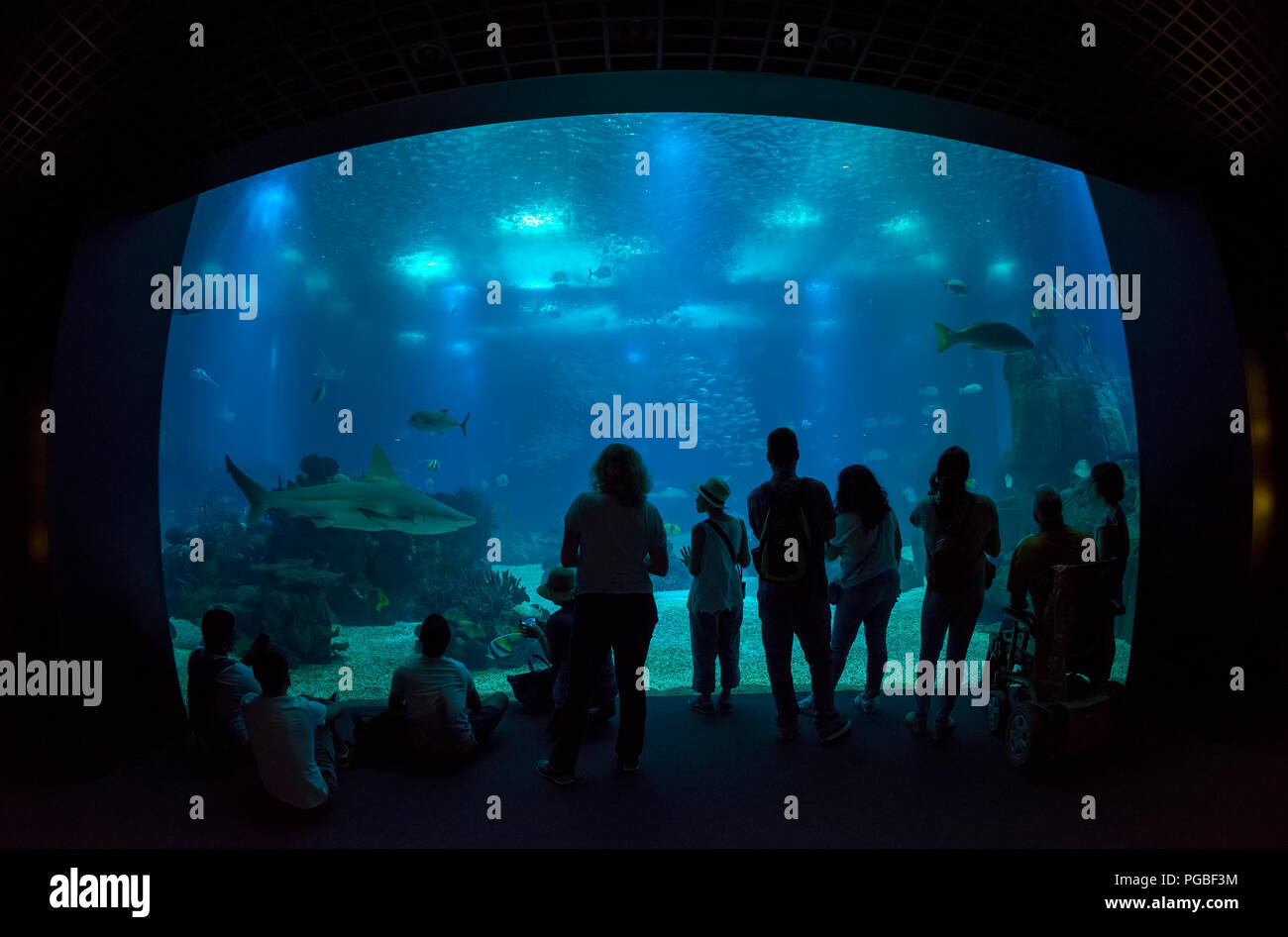 Interior of the Oceanario de Lisboa, aquarium, Lisbon, Portugal Stock ...