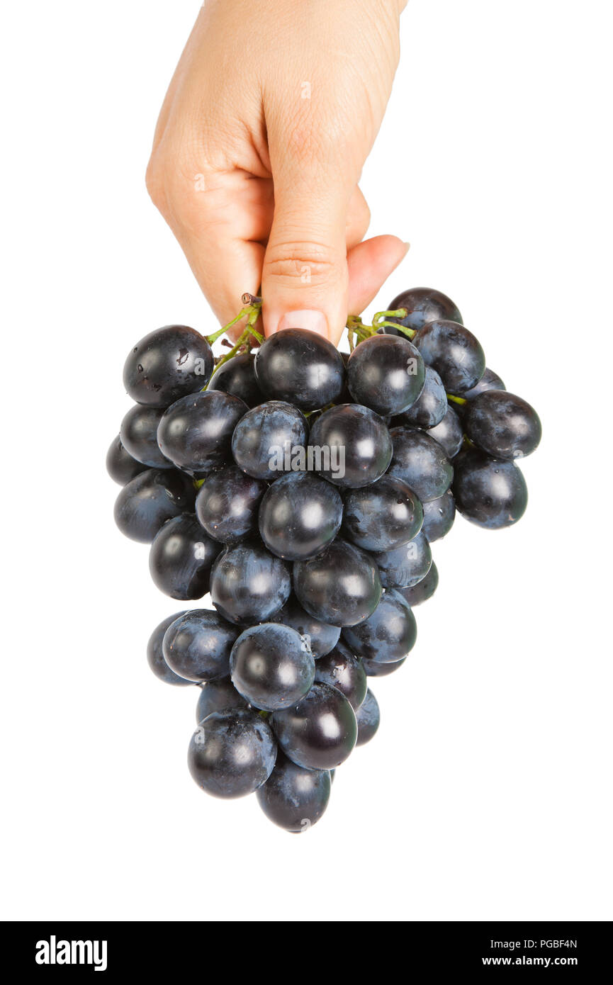 Grapes in a female hand isolated on the white background Stock Photo ...