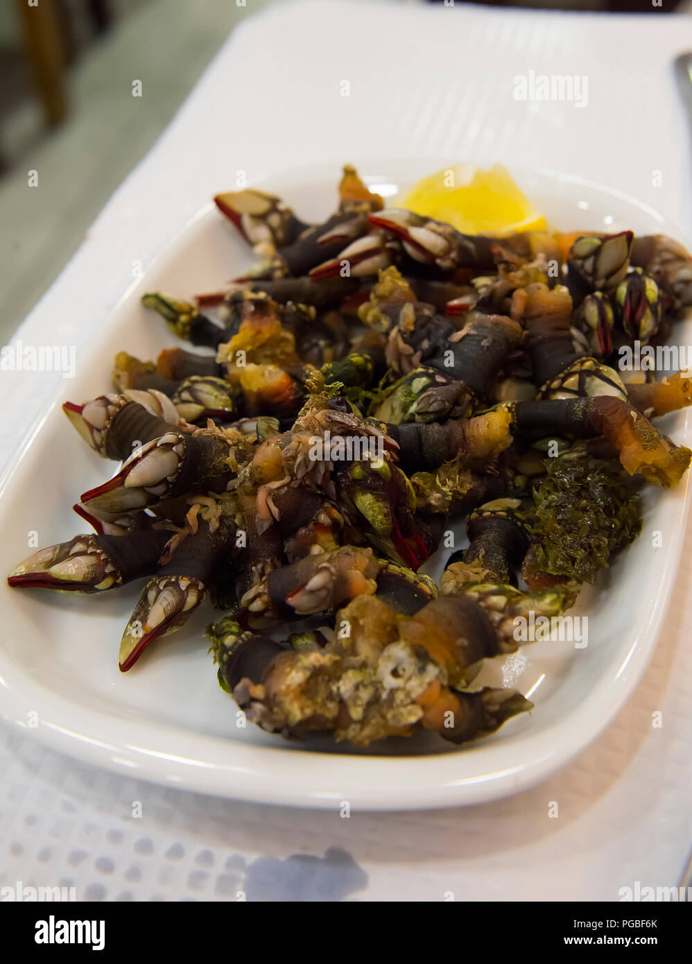 Gooseneck barnacles known in Portugal as ‘Lucifer’s fingers’, Lisbon ...