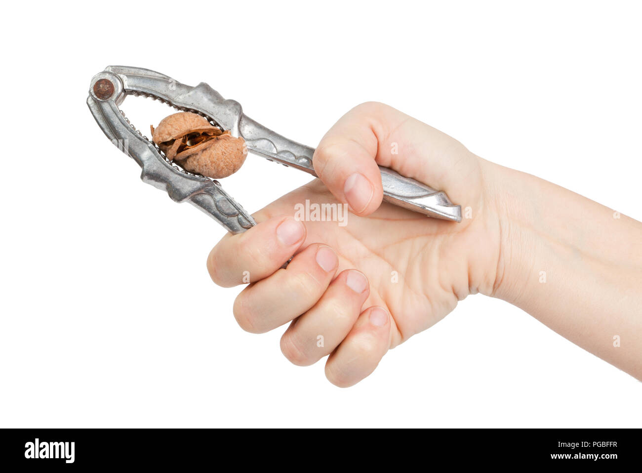 Woman hand is cracking a walnut with metal nutcracker isolated over ...