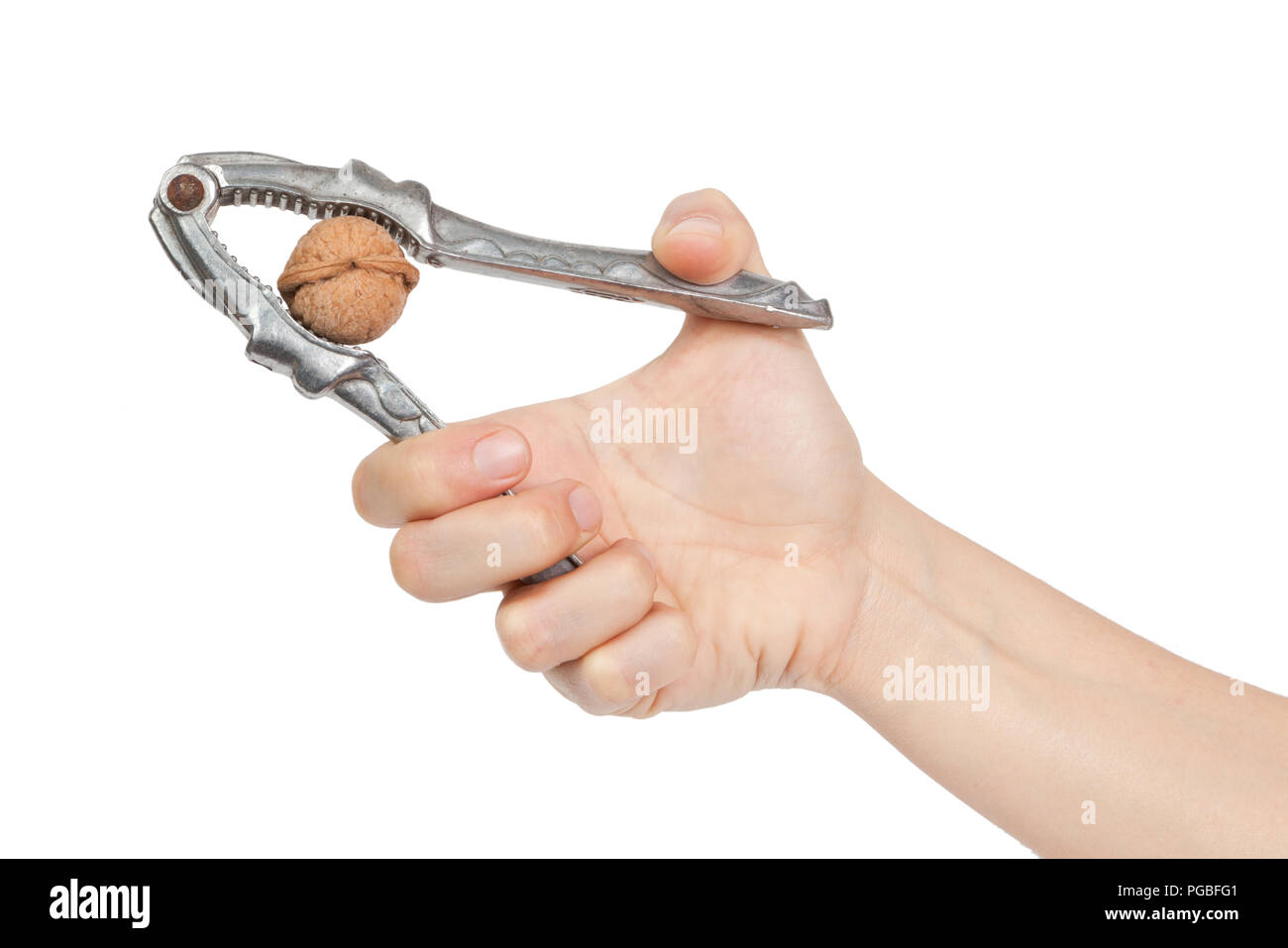 Woman hand is cracking a walnut with metal nutcracker isolated over ...