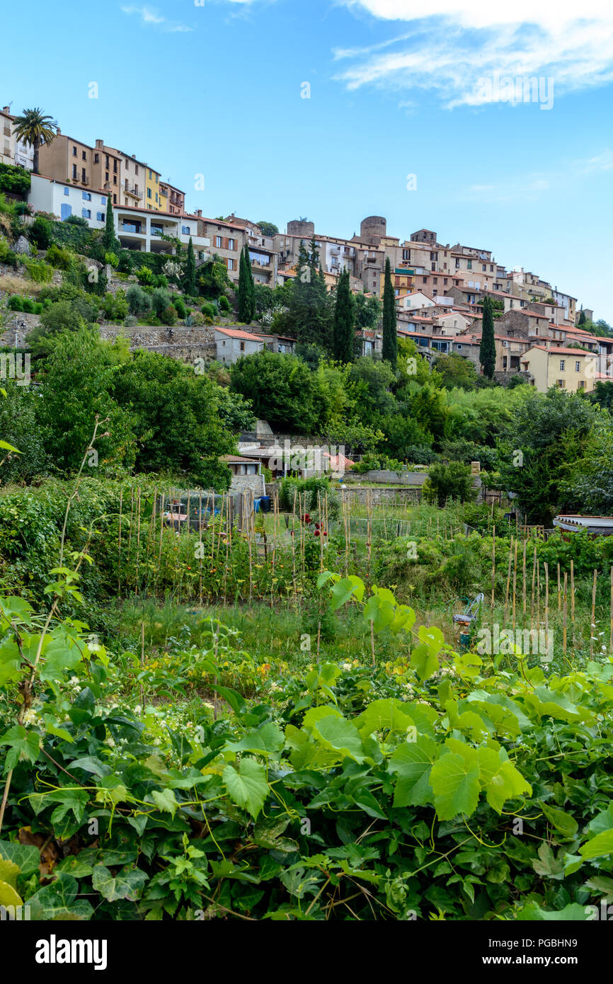 Palalda, Amelie-les-bains common in the Pyrénées-Orientales department ...