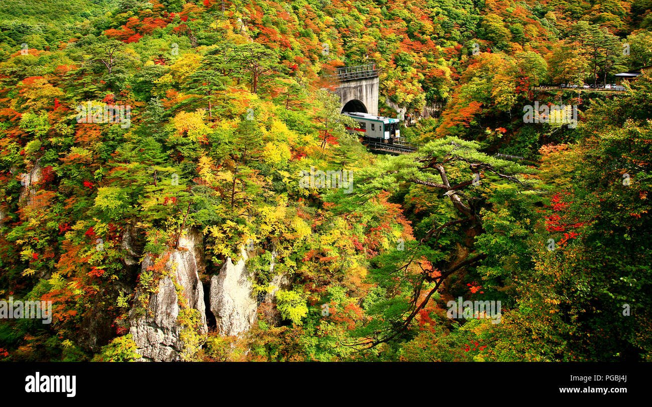 Famous panorama view of train coming out from tunnel with colorful ...