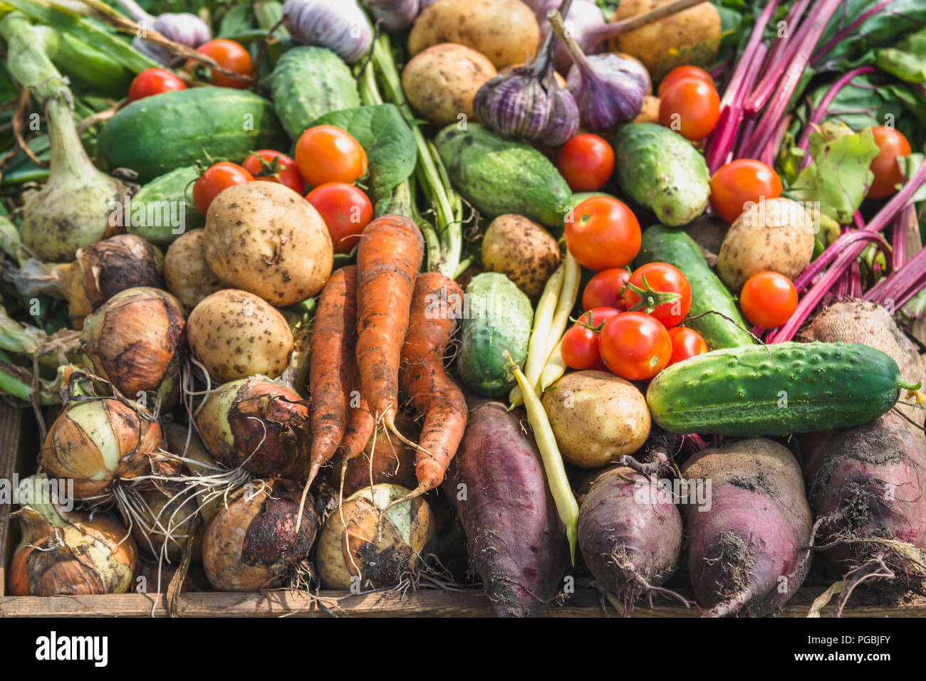 Assorted vegetable background, bio organic vegetables, fresh farm ...