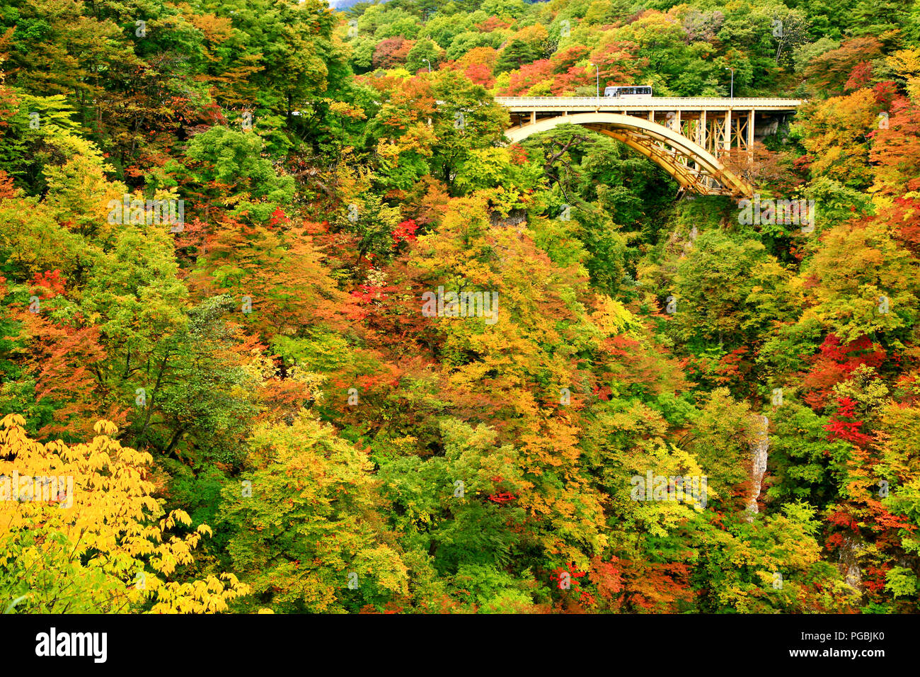 Beautiful view of a highway bridge spanning across colorful autumn ...