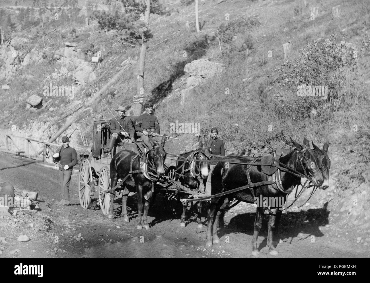 Three uniformed men with rifles, a driver, and a small horse-drawn ...