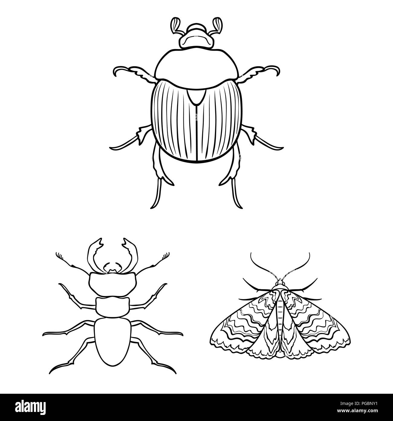 Different kinds of insects outline icons in set collection for design ...