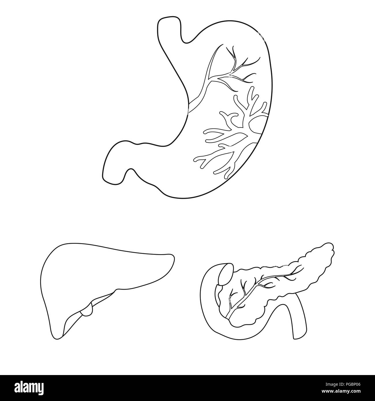Internal organs of a human outline icons in set collection for design ...