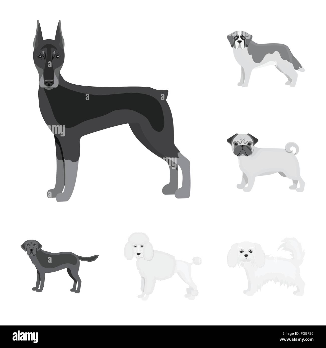 Dog breeds monochrome icons in set collection for design.Dog pet vector ...