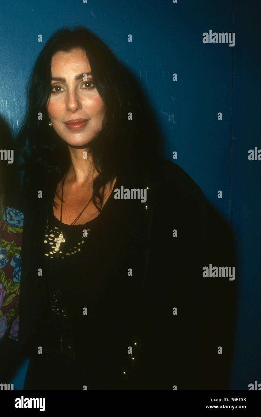 WEST HOLLYWOOD, CA - AUGUST 11: Singer/actress Cher attends Grand ...