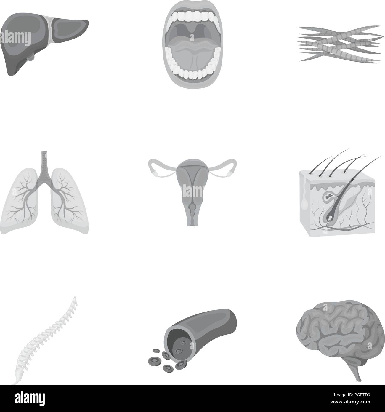 Organs set icons in monochrome style. Big collection of organs vector ...