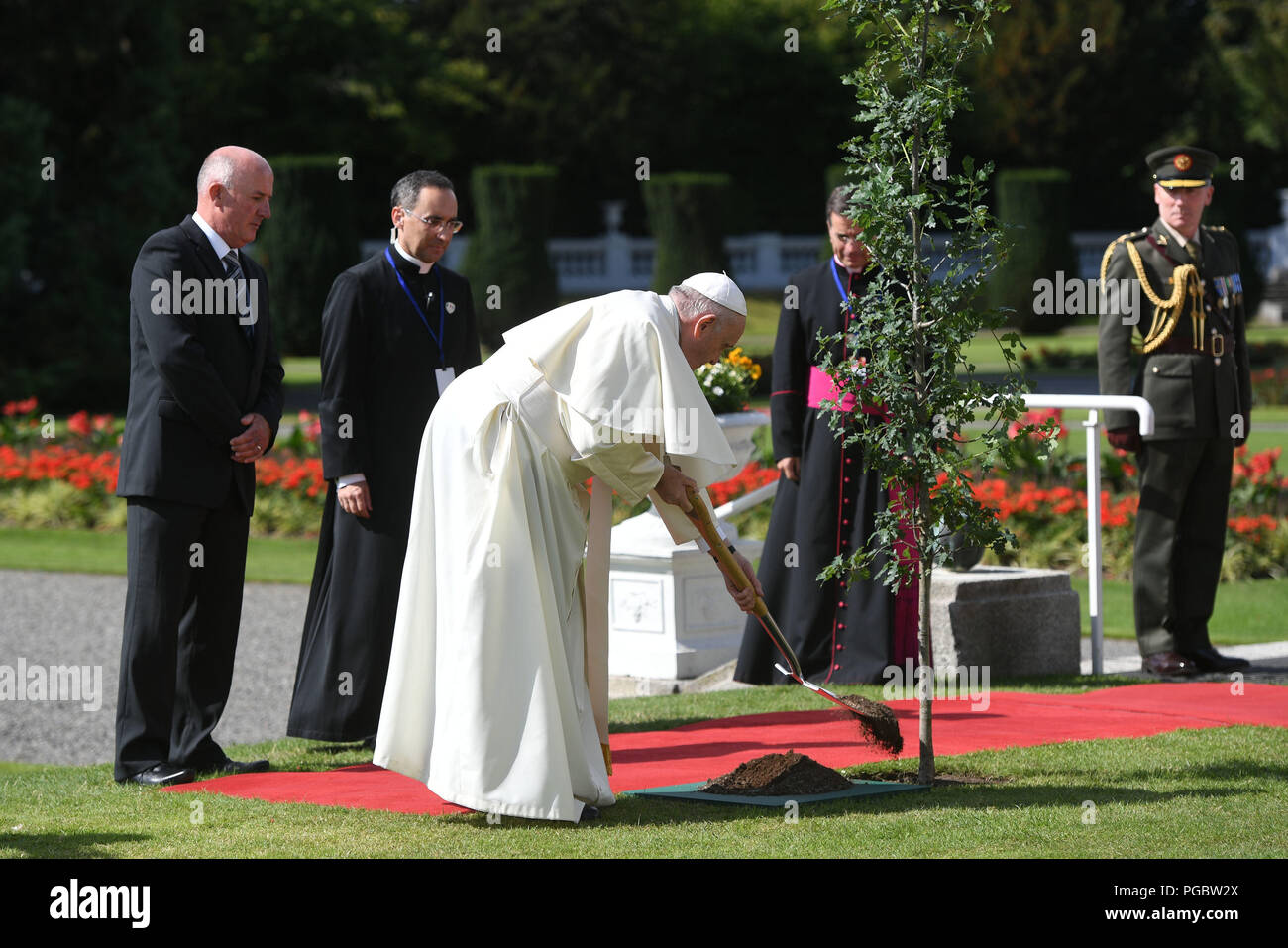Pope francis tree hi-res stock photography and images - Alamy