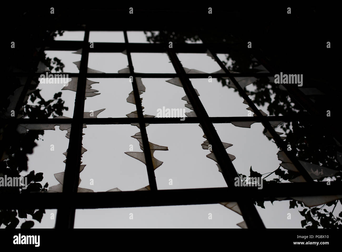 Old broken window in abandoned hospital Stock Photo - Alamy