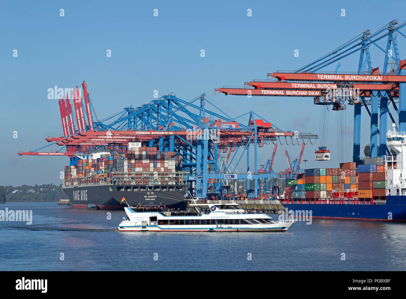 Container Terminal Burchardkai, Waltershof, Hamburg, Germany Stock ...