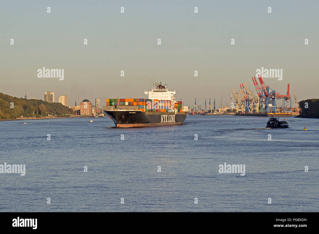 container ship Nyk Remus, Finkenwerder, Hamburg, Germany Stock Photo ...
