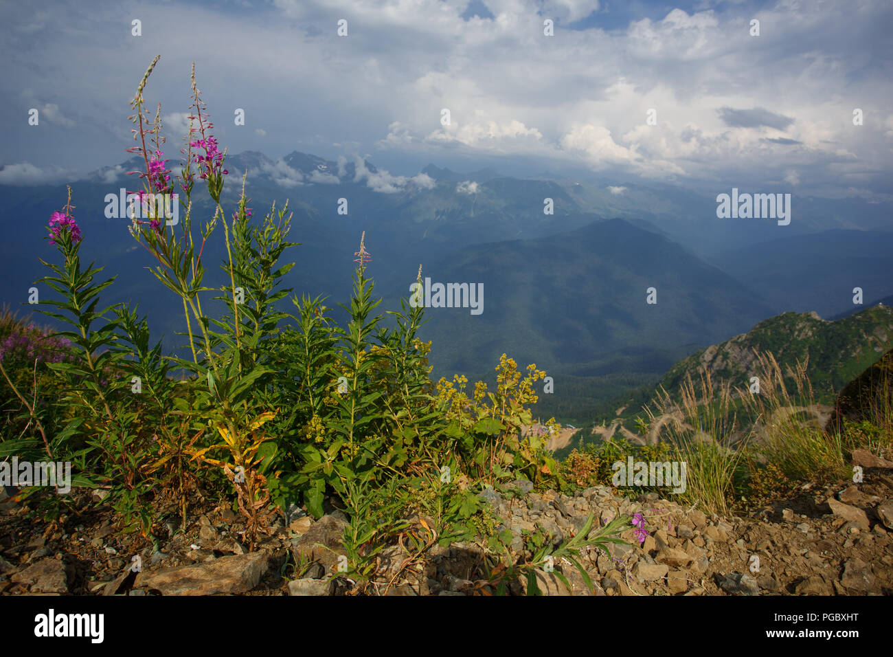 Roza Khutor Plateau Summer Alpine Ski Resort Landscape, Sochi, Russia ...