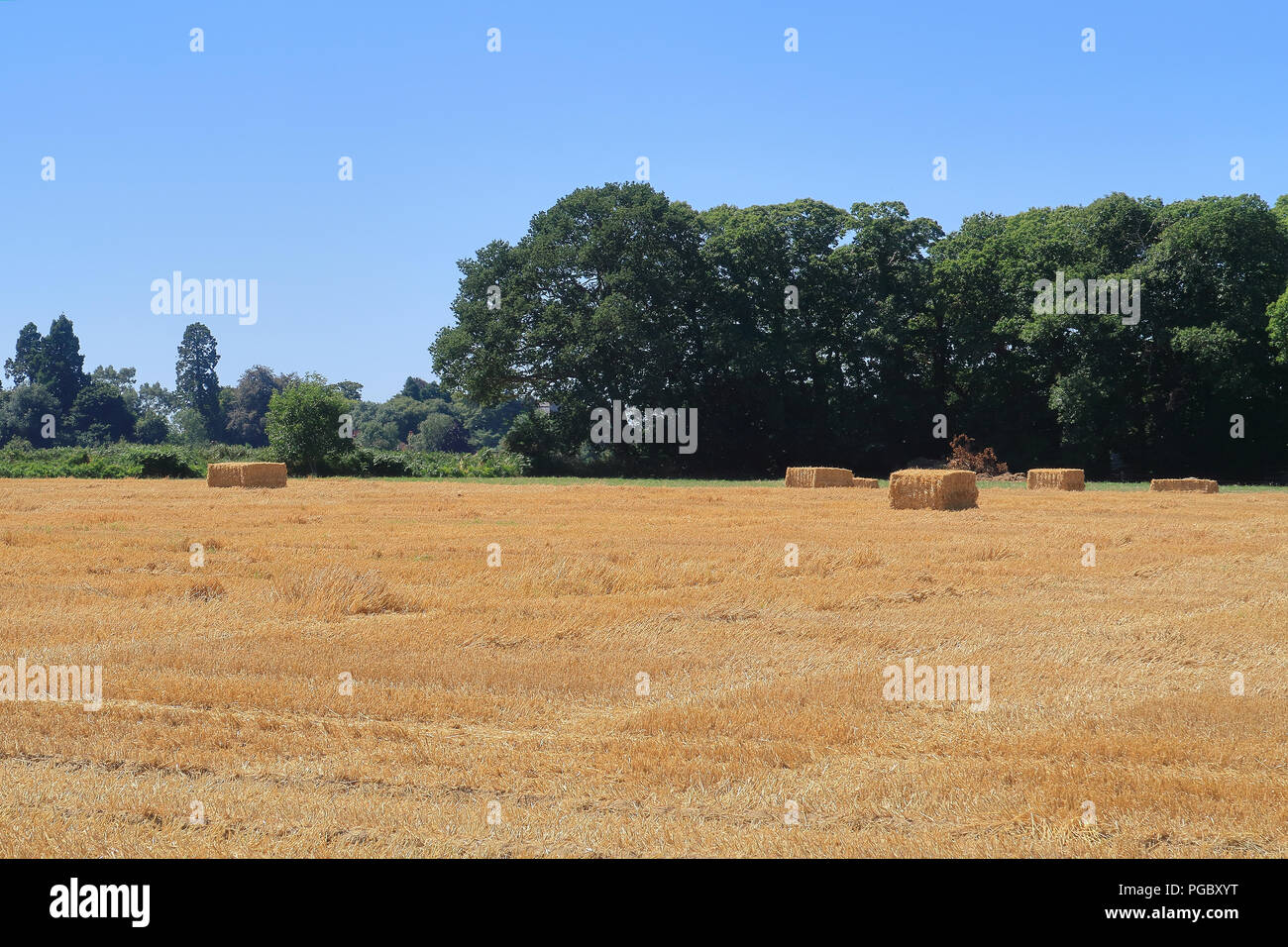 A landscape scene of the beautiful Kent countryside at Camer Stock ...