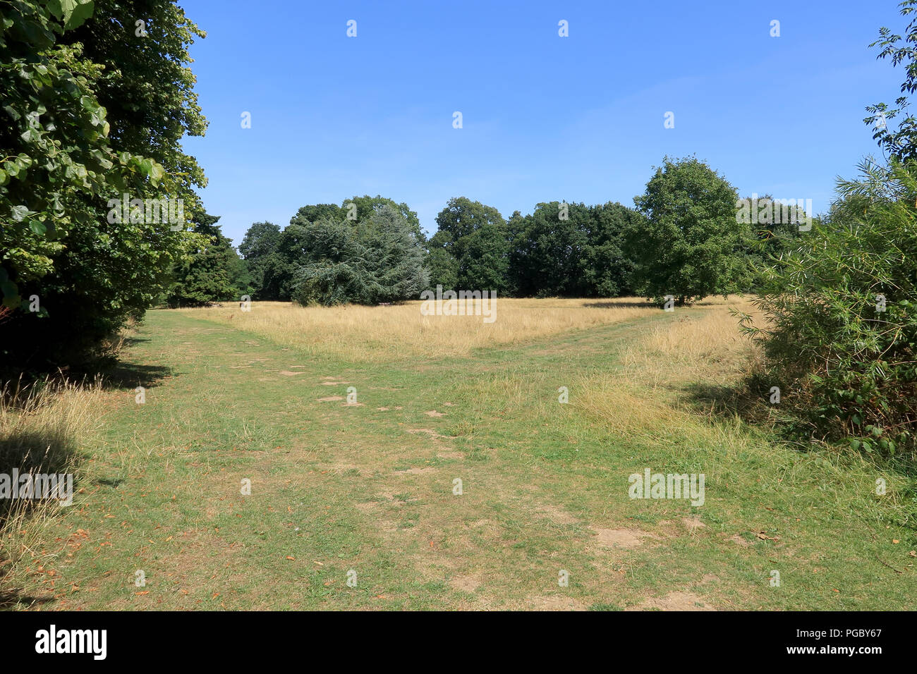 Natural scene kent hi-res stock photography and images - Alamy