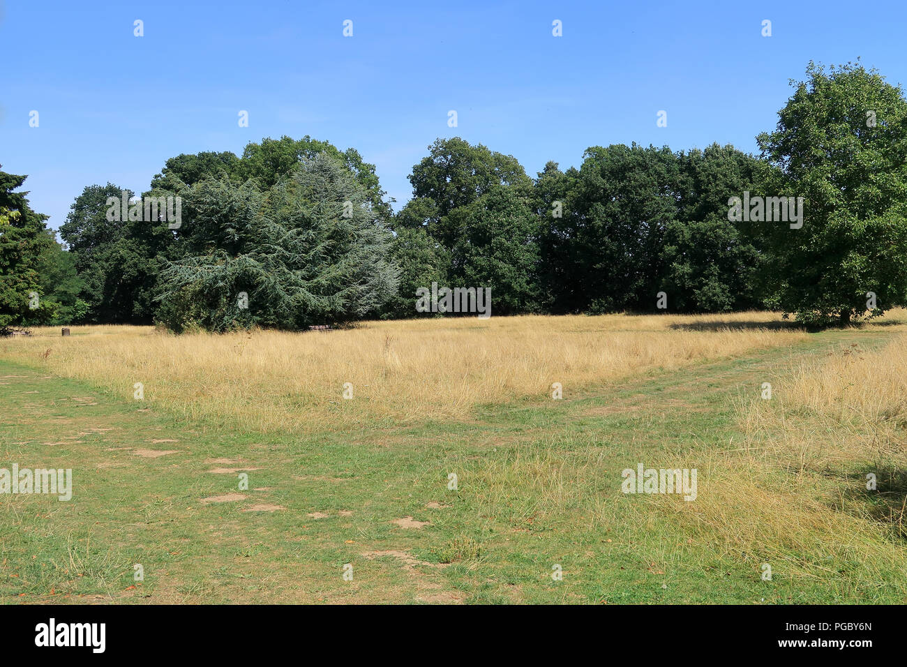Natural scene kent hi-res stock photography and images - Alamy