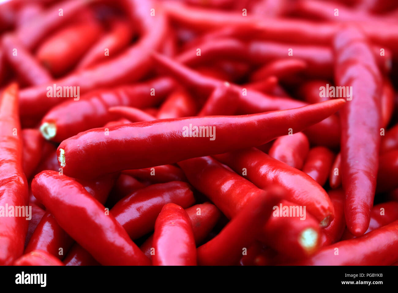 red chili background Stock Photo - Alamy