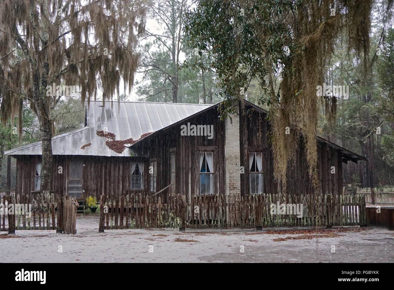 Chesser Island, GA, USA: The abandoned Chesser homestead stands on an ...
