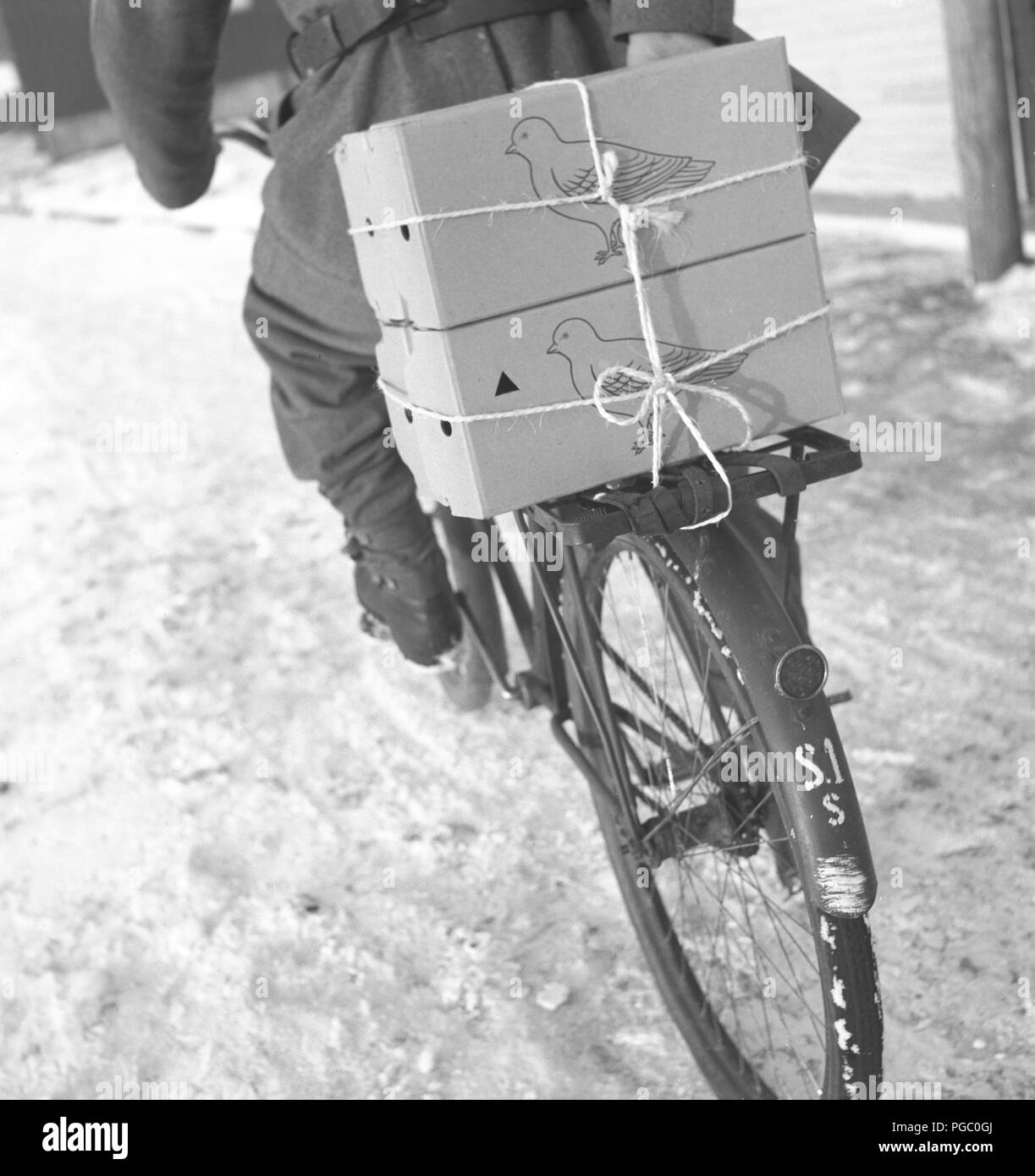 Ww2 carrier pigeon Black and White Stock Photos & Images - Alamy