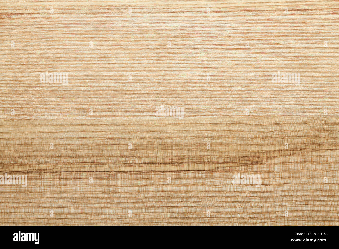 Texture of beech tree close-up Stock Photo - Alamy